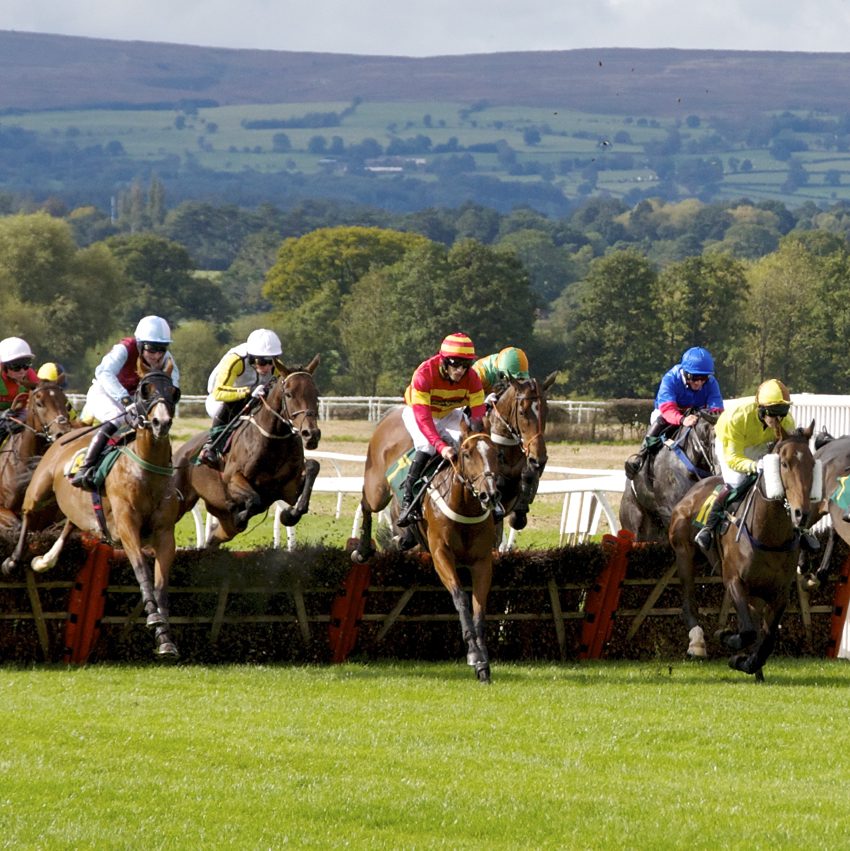 Animal Racing - MYLAPS